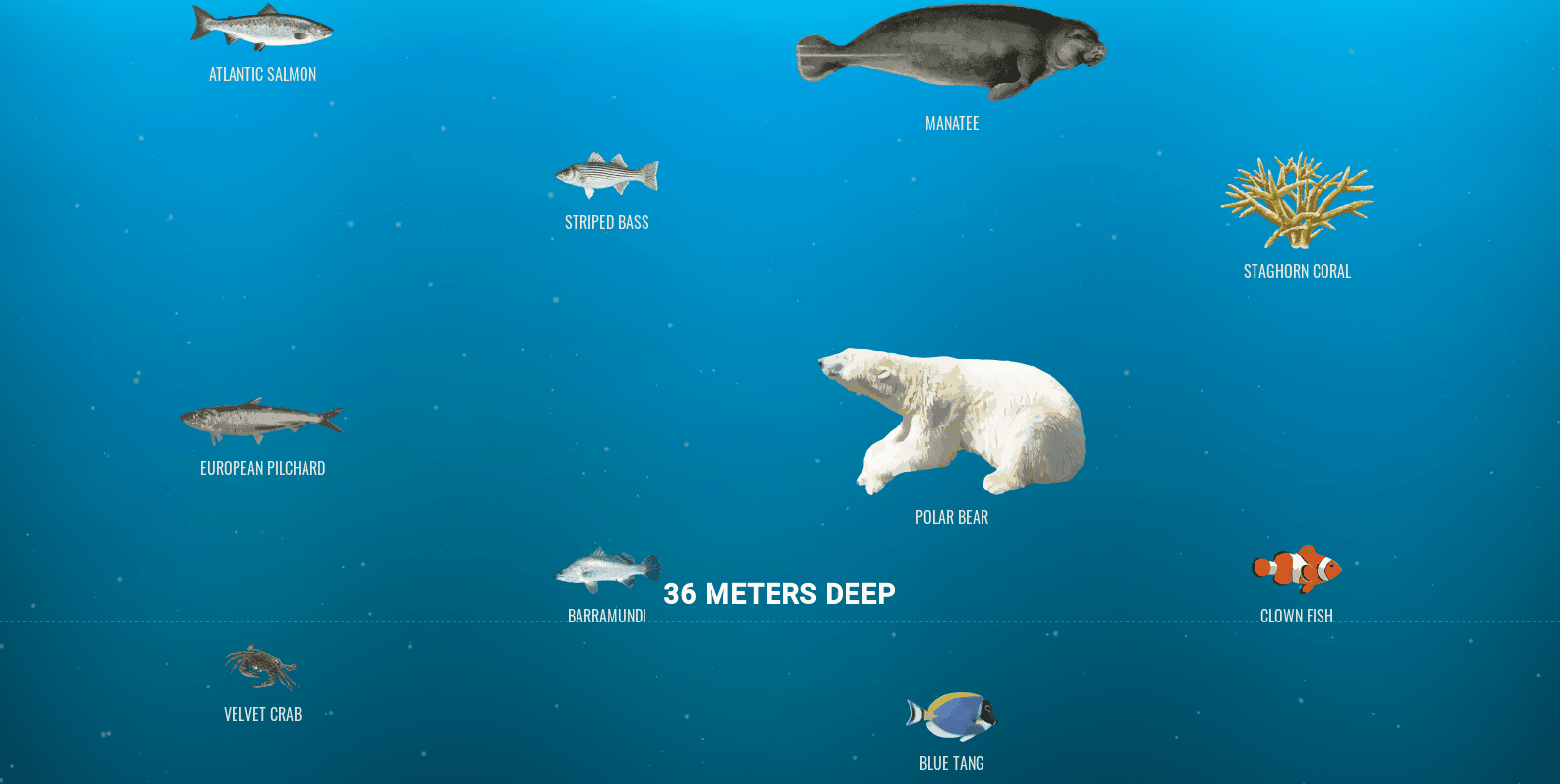 The Deep Sea: site te leva para um tour até o fundo do oceano