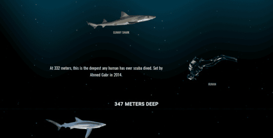 The Deep Sea: site te leva para um tour até o fundo do oceano