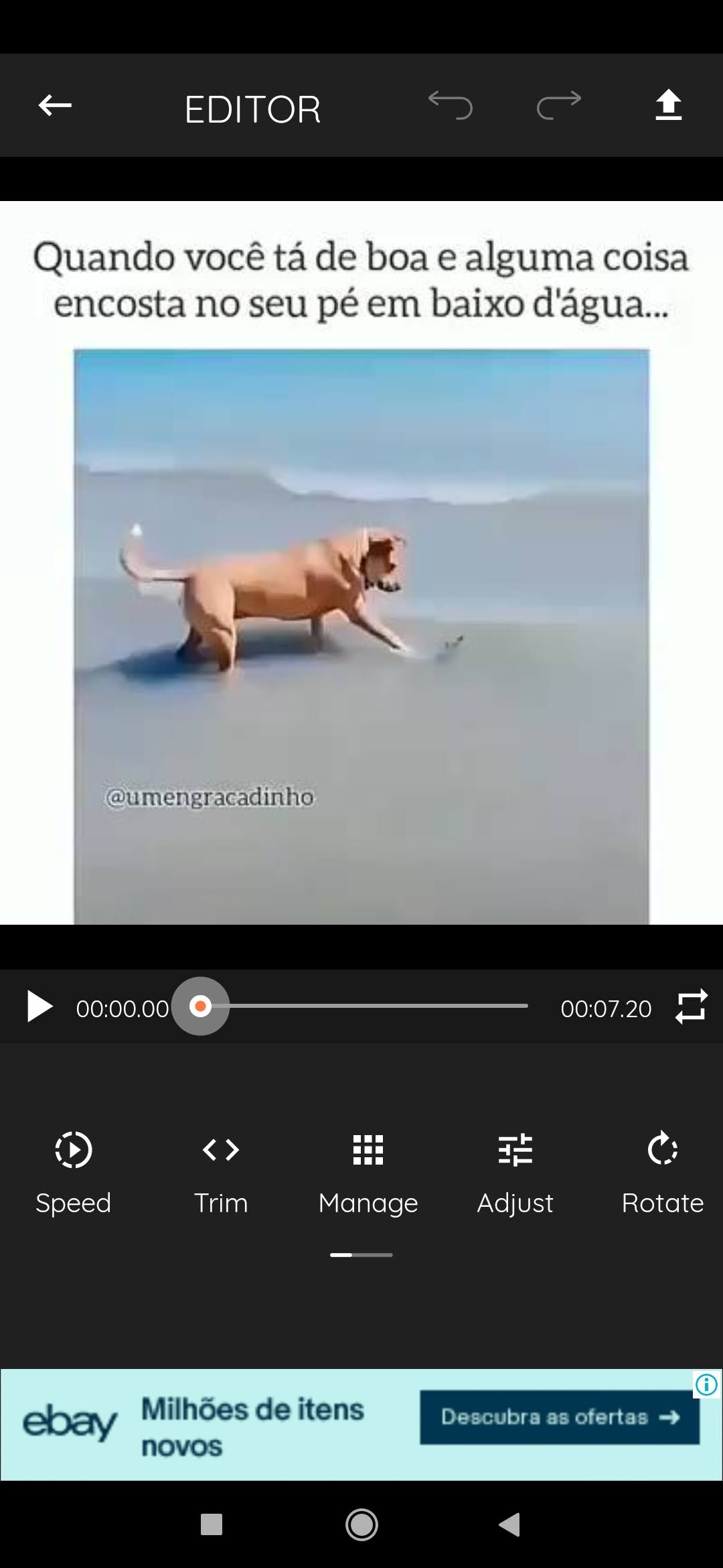 Como criar GIFs no PC e smartphone