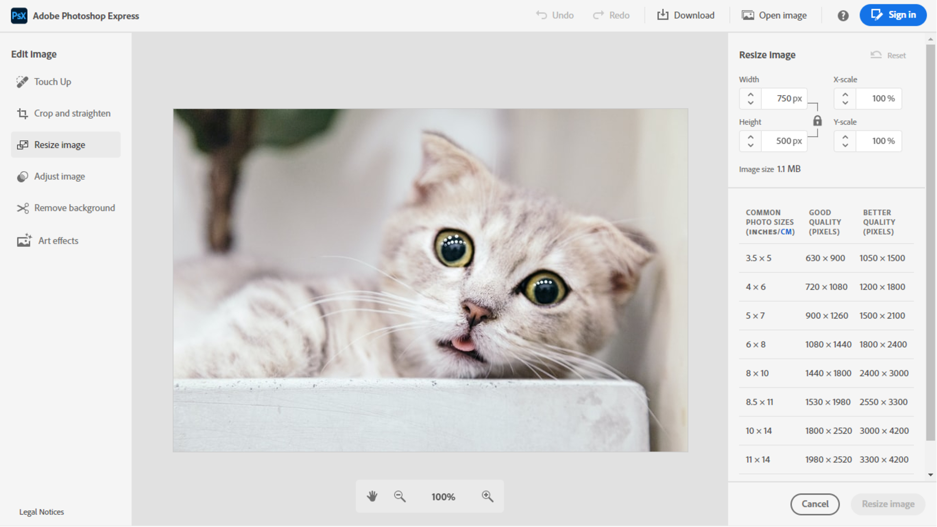 Redimensionar Fotos 10x15 Anytools.Pro Revela o Formato Ideal. - Costura