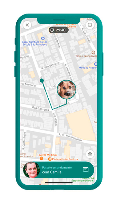 14 aplicativos para cuidar de cachorros com seu smartphone
