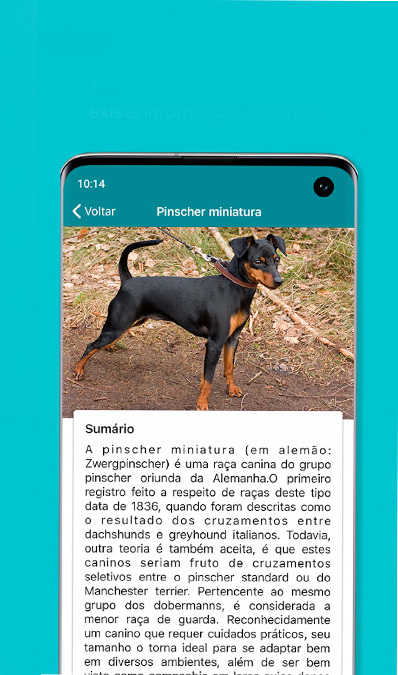 14 aplicativos para cuidar de cachorros com seu smartphone