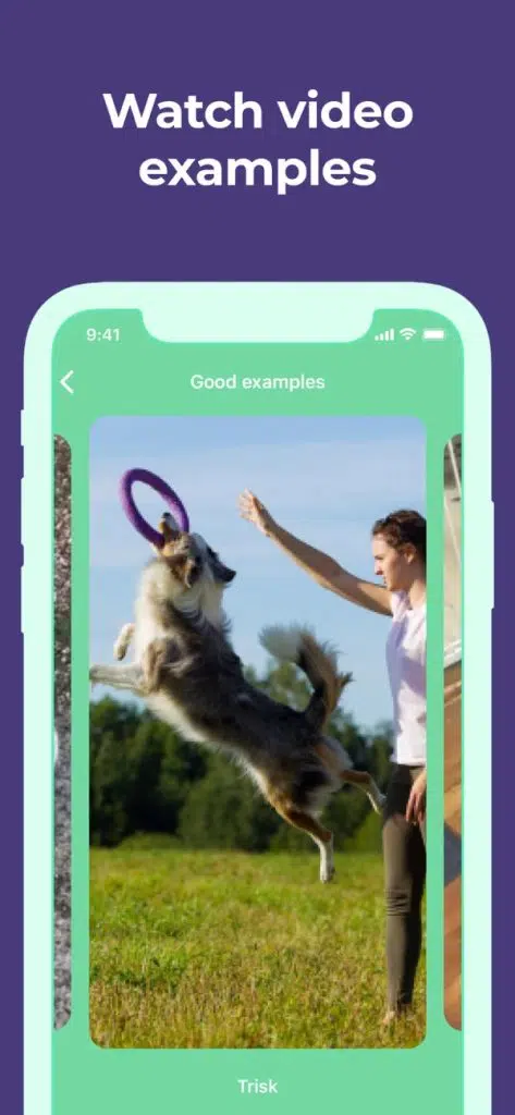 14 aplicativos para cuidar de cachorros com seu smartphone