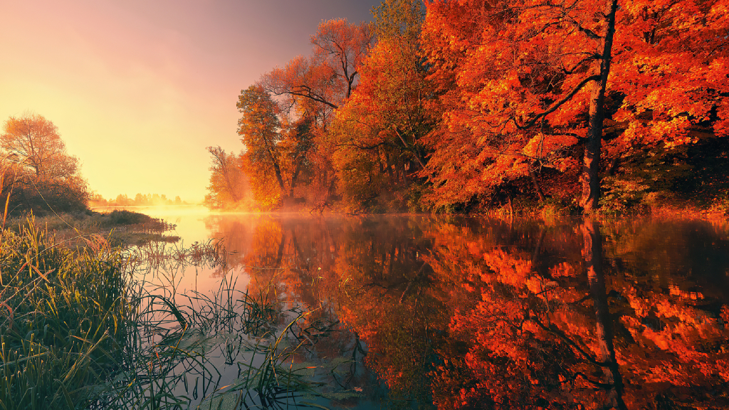 Melhores wallpapers Full HD e 4K para baixar no PC | Showmetech