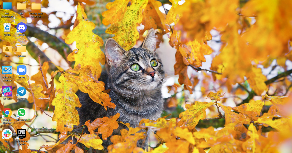 29 melhores temas para Windows 11 (e papéis de parede)