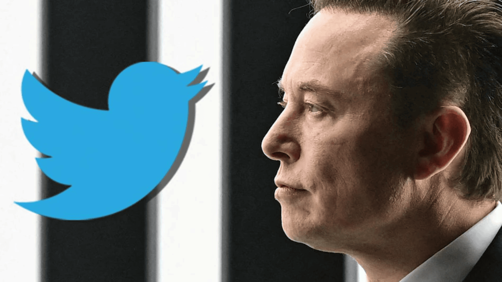 Entenda o que é o Twitter Files e as polêmicas envolvidas