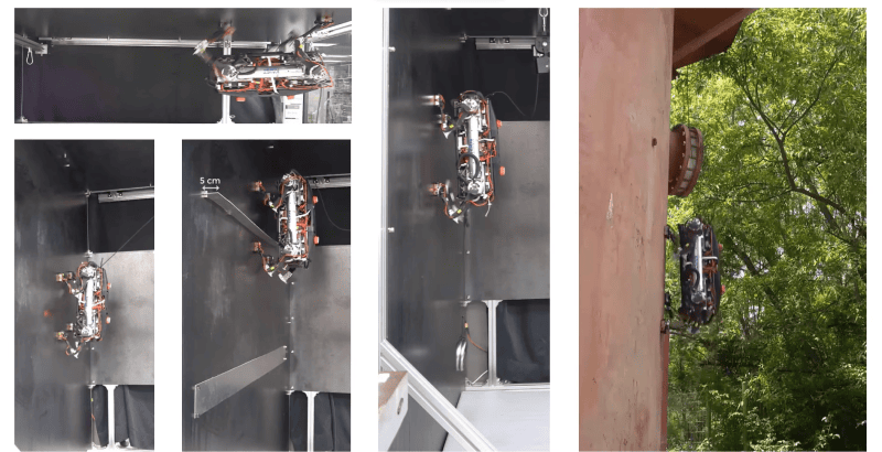 MARVEL: quadruped robot can climb walls and ceilings
