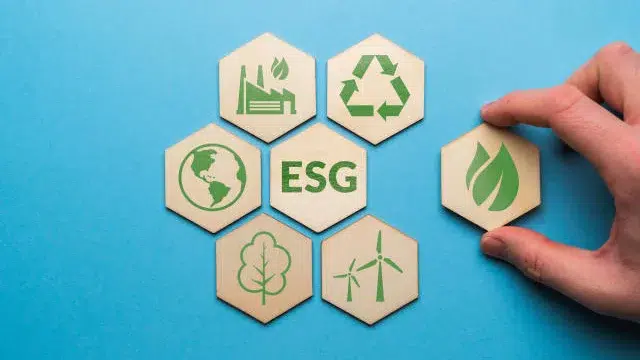 Saiba o que é ESG e sua importância para a sustentabilidade