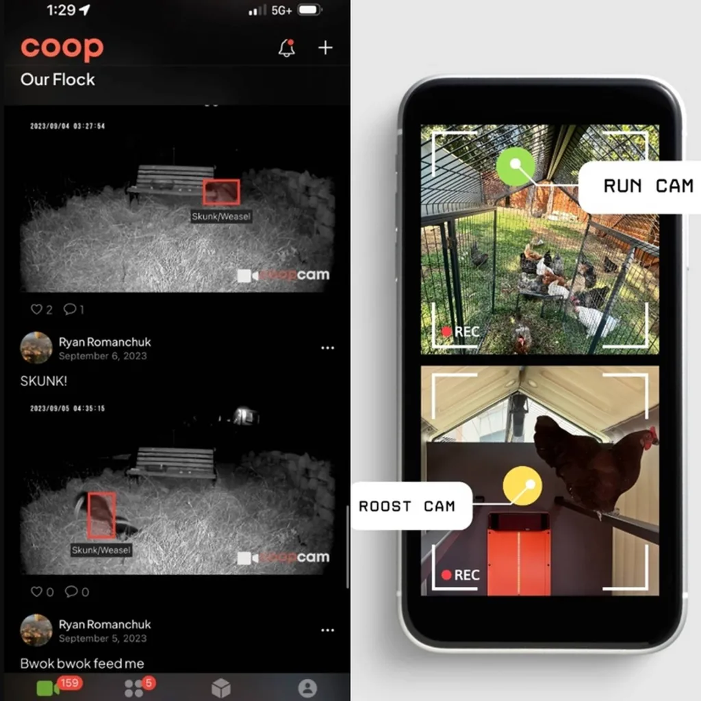Conheça Coop, o galinheiro inteligente para criar galinhas em casa