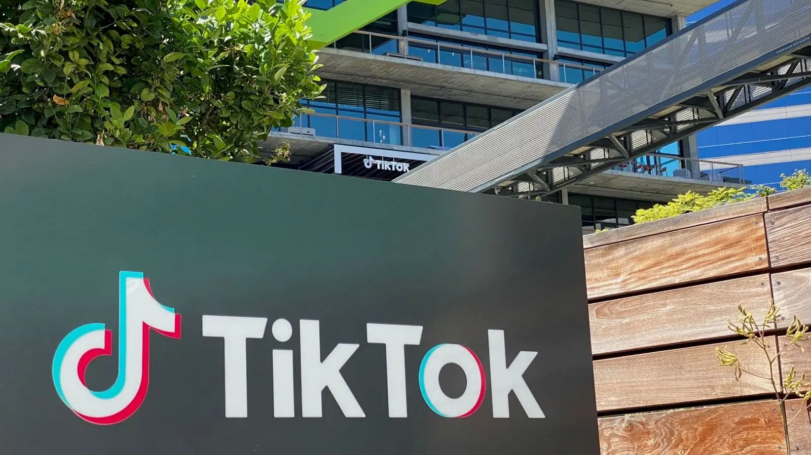 Tudo que você não sabia sobre o TikTok! Veja!