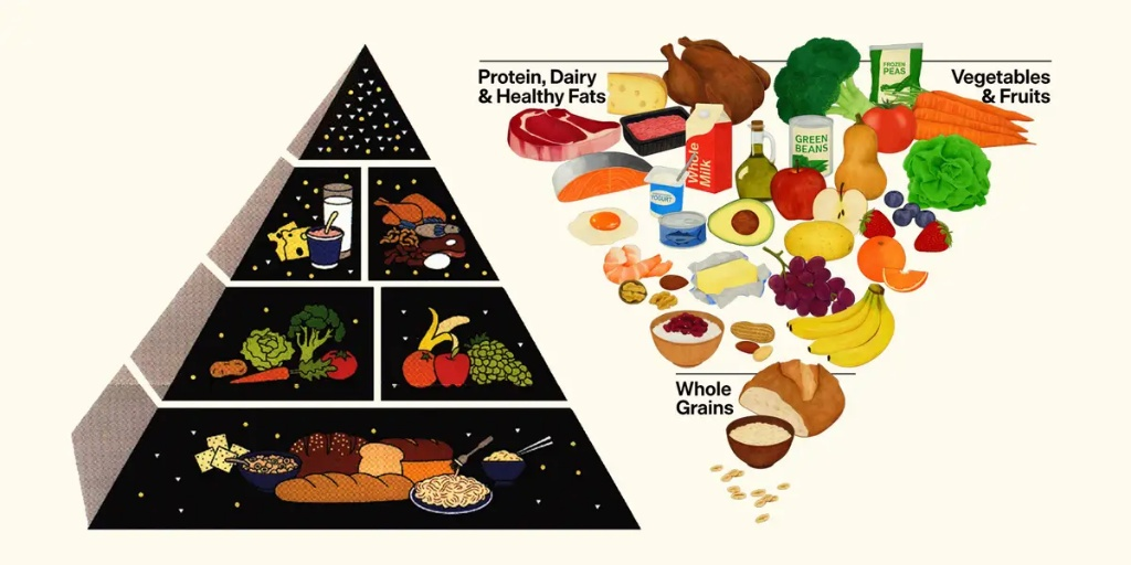 The new US food pyramid prioritizes fruits, vegetables, and protein ...